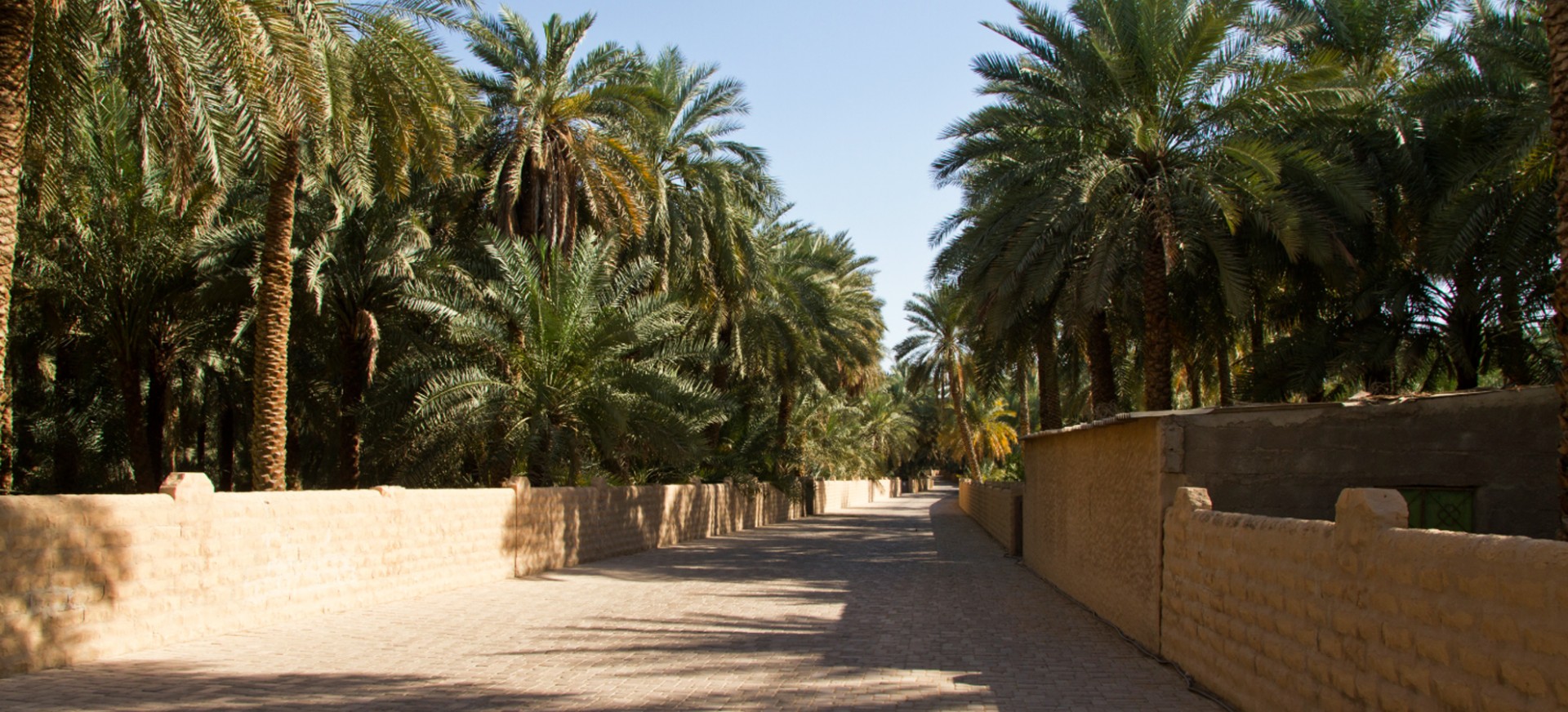 Al Ain Oasis - A Green Oasis in the Desert of the United Arab Emirates